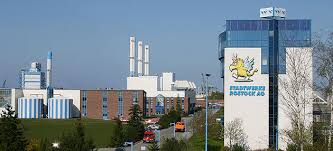 Die Stadtwerke Rostock AG verlängern ihr Engagement › Rostock Griffins